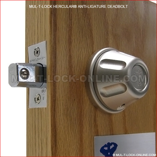 MUL-T-LOCK MT5+ Hercular Anti-Ligature Deadbolt – Golden Locks Inc